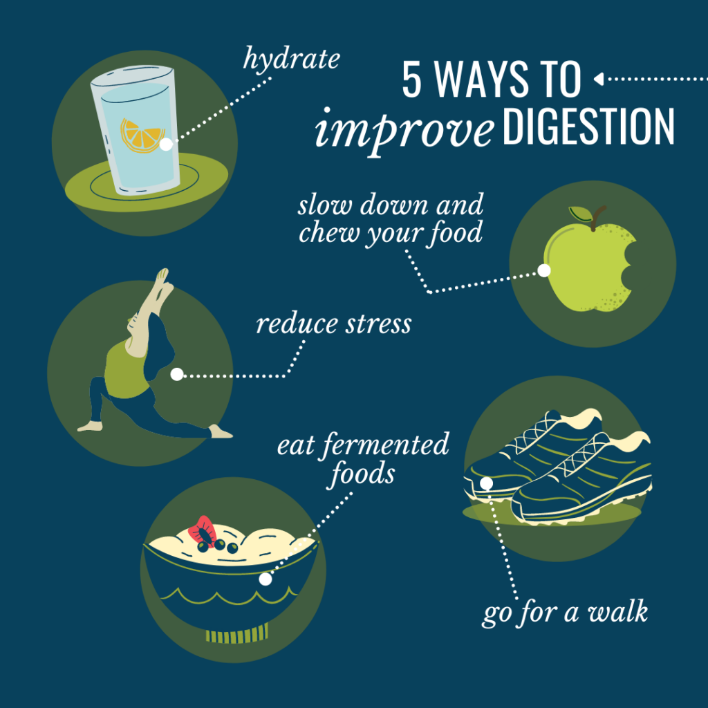 You Are What You Digest: 5 Strategies for supporting your digestive ...